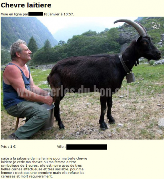 Humour – Page 2 – OpenVente